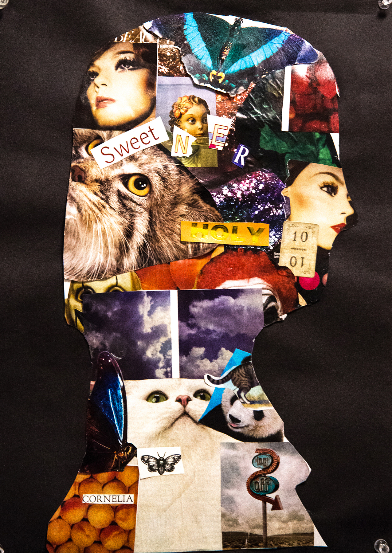 7th & 8th grade – Silhouette Collage – In the K-8 Art Studio with Anita ...