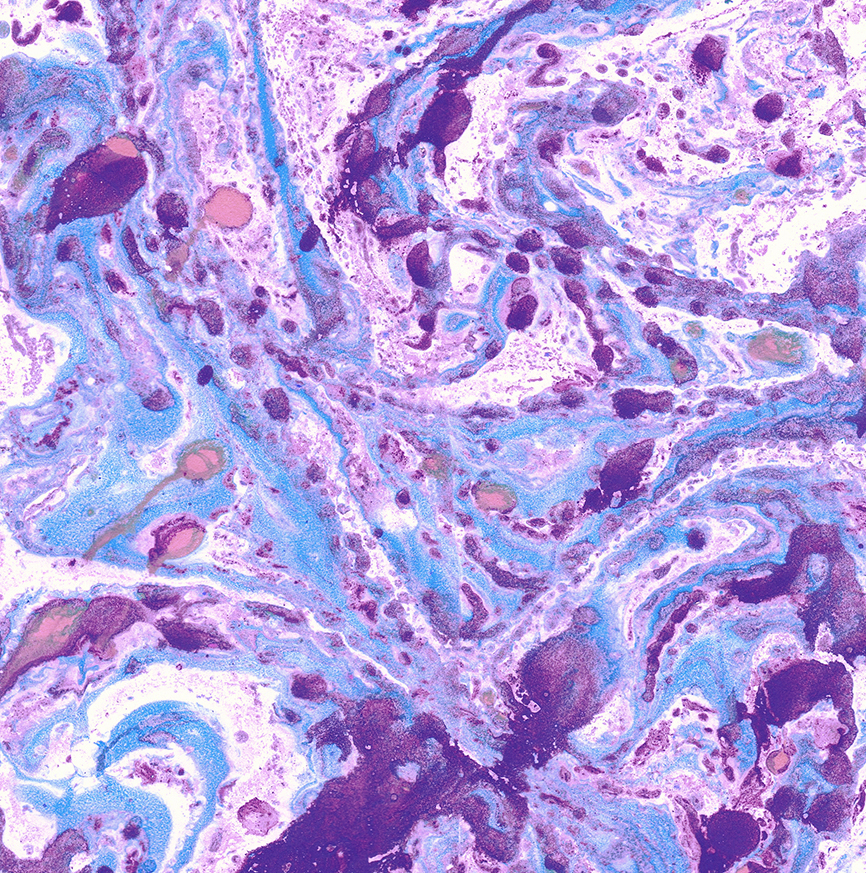 2nd Grade – The art of Paper Marbling – In the K-8 Art Studio with ...