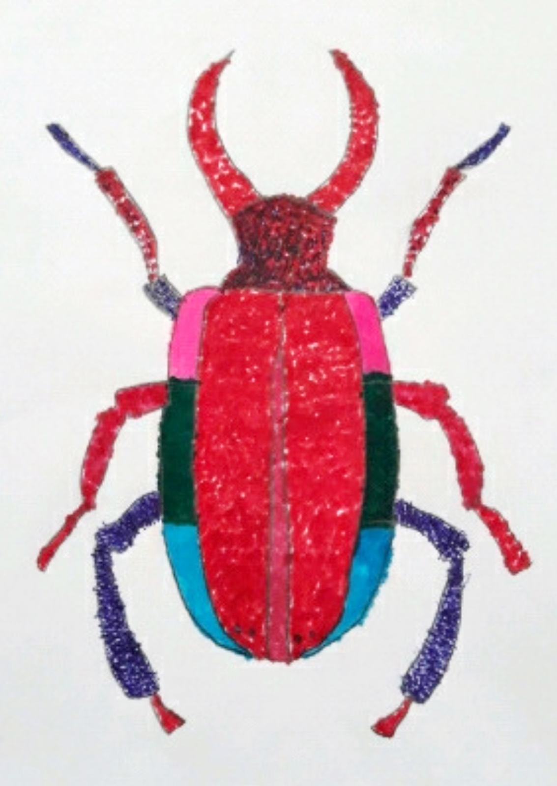 1st Grade – Pointillism and symmetry with insect designs – In the K-8 ...