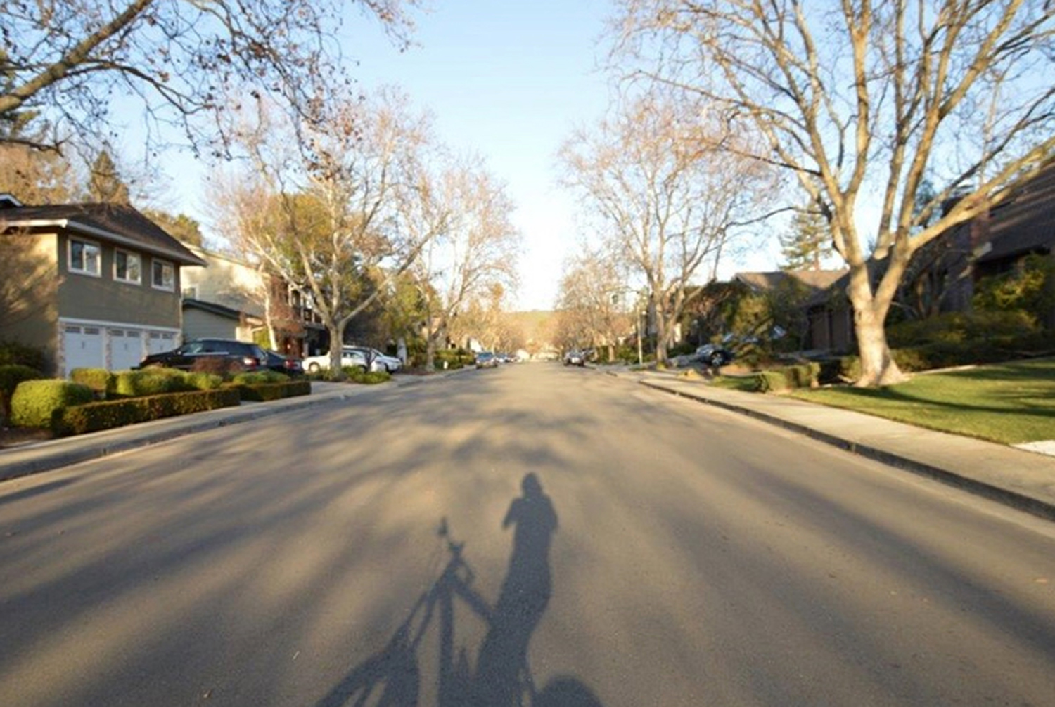 8th Grade – Photography Unit, Lesson 1: Composition and Intro to Your ...