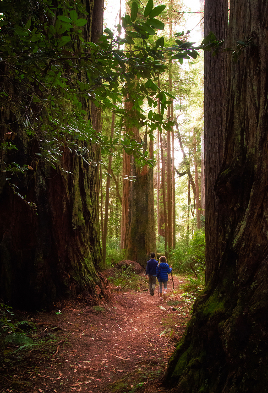 8th Grade – Photography Unit, Lesson 1: Composition and Intro to Your ...