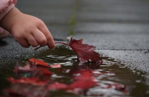 Kindergarten – Warm Autumn Leaves – In the K-8 Art Studio with Anita ...