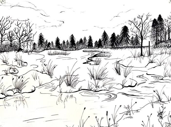 7th & 8th Grade Pen Drawing Techniques and Landscape Drawing – In the K ...