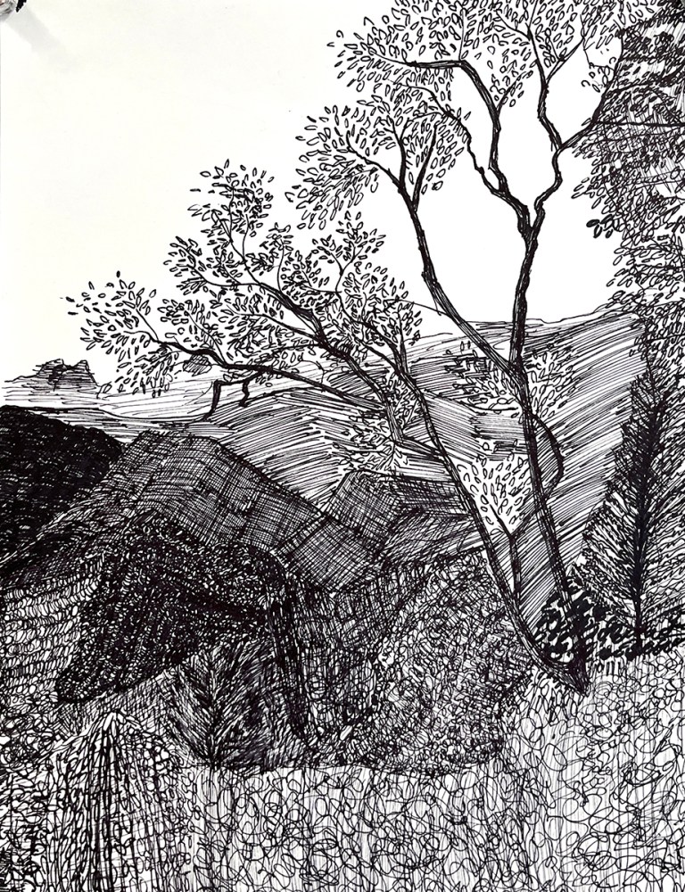 7th & 8th Grade Pen Drawing Techniques and Landscape Drawing – In the K ...