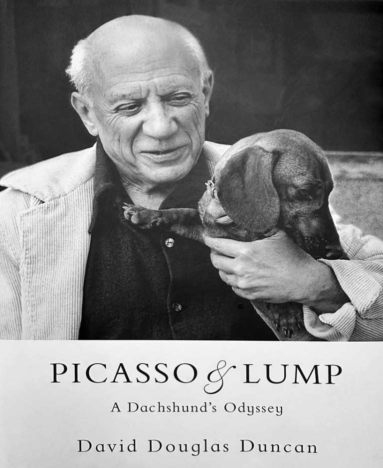Kindergarten – Picasso’s Dog Lump – In the K-8 Art Studio with Anita ...